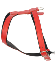 Bullymake Shop – Amazing gear for your pooch, from Bullymake!