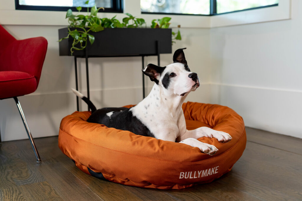 BULLYMAKE Bed – Orange – Medium – BULLYMAKE Shop