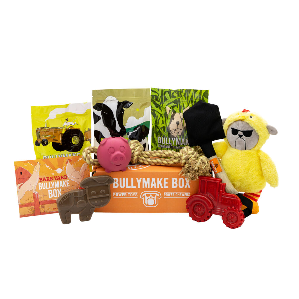 BULLYMAKE BOX – One-time Purchase – BULLYMAKE Shop