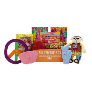 BULLYMAKE BOX – One-time Purchase – BULLYMAKE Shop