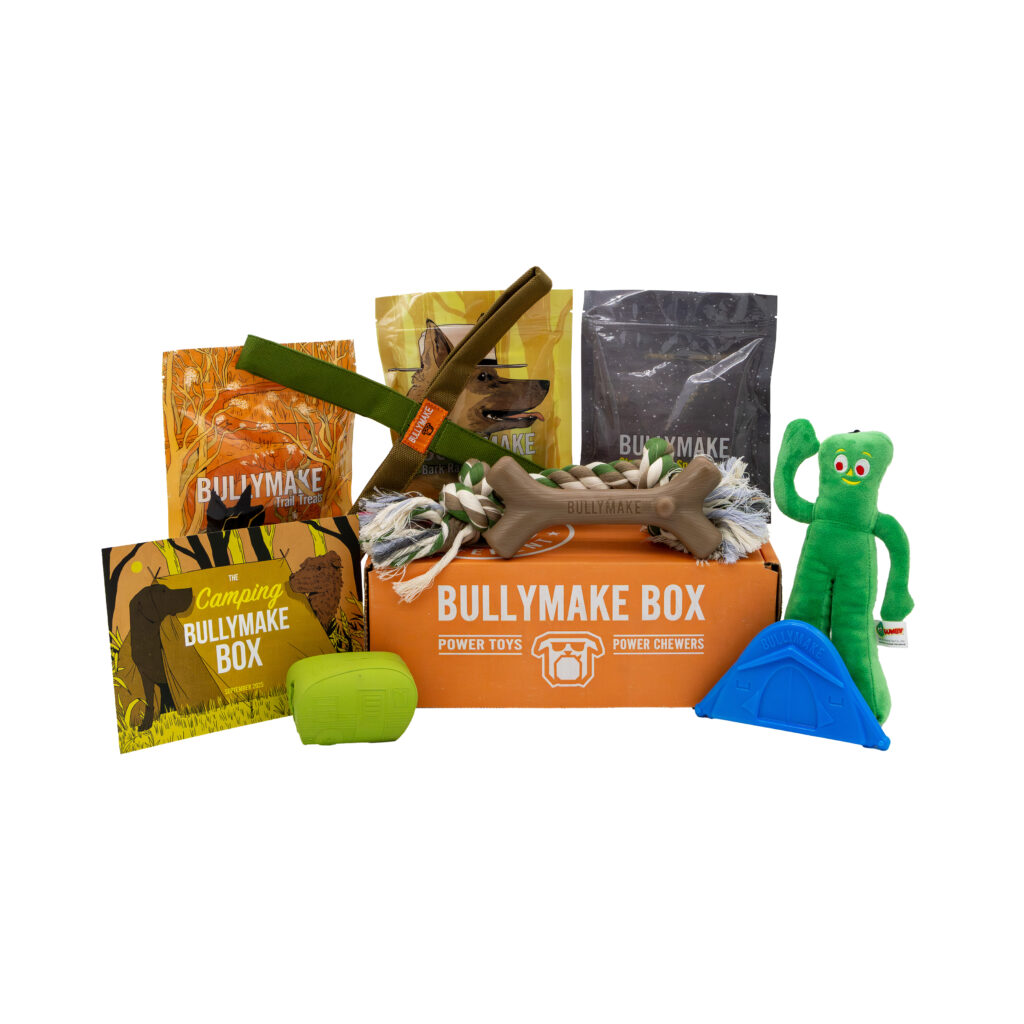 BULLYMAKE BOX – One-time Purchase – BULLYMAKE Shop